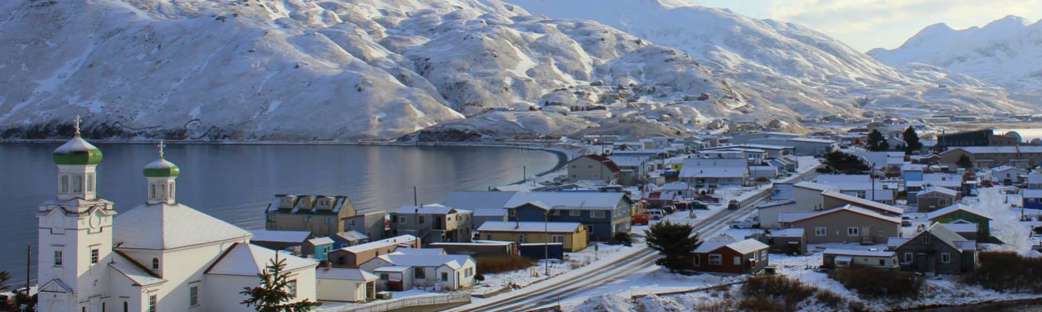APICDA - APICDA - Aleutian Pribilof Island Community Development ...