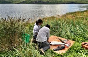 APICDA | Aleutian Pribilof Island Community Development Association