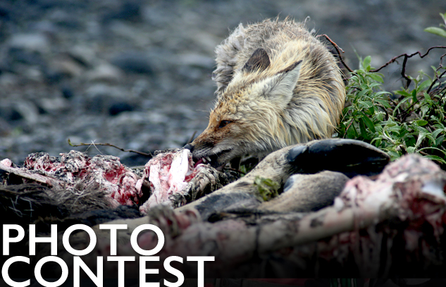 About APICDA | APICDA